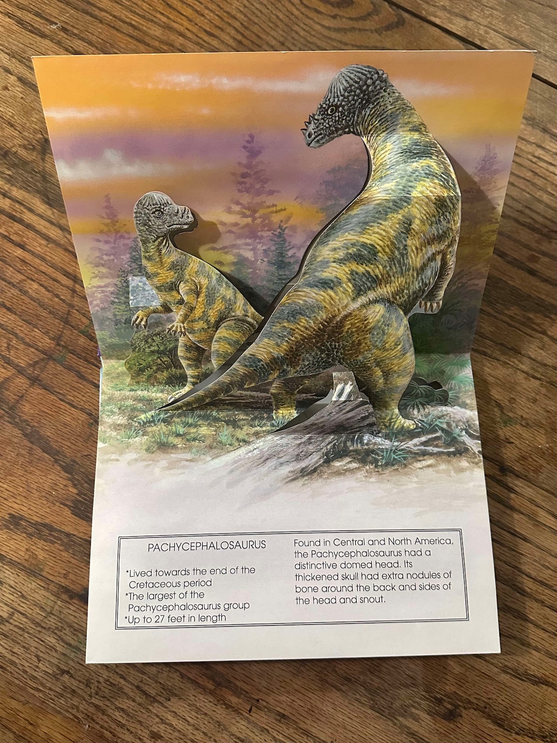 Dinosaurs Pop-up Book VINTAGE 2000s - Etsy