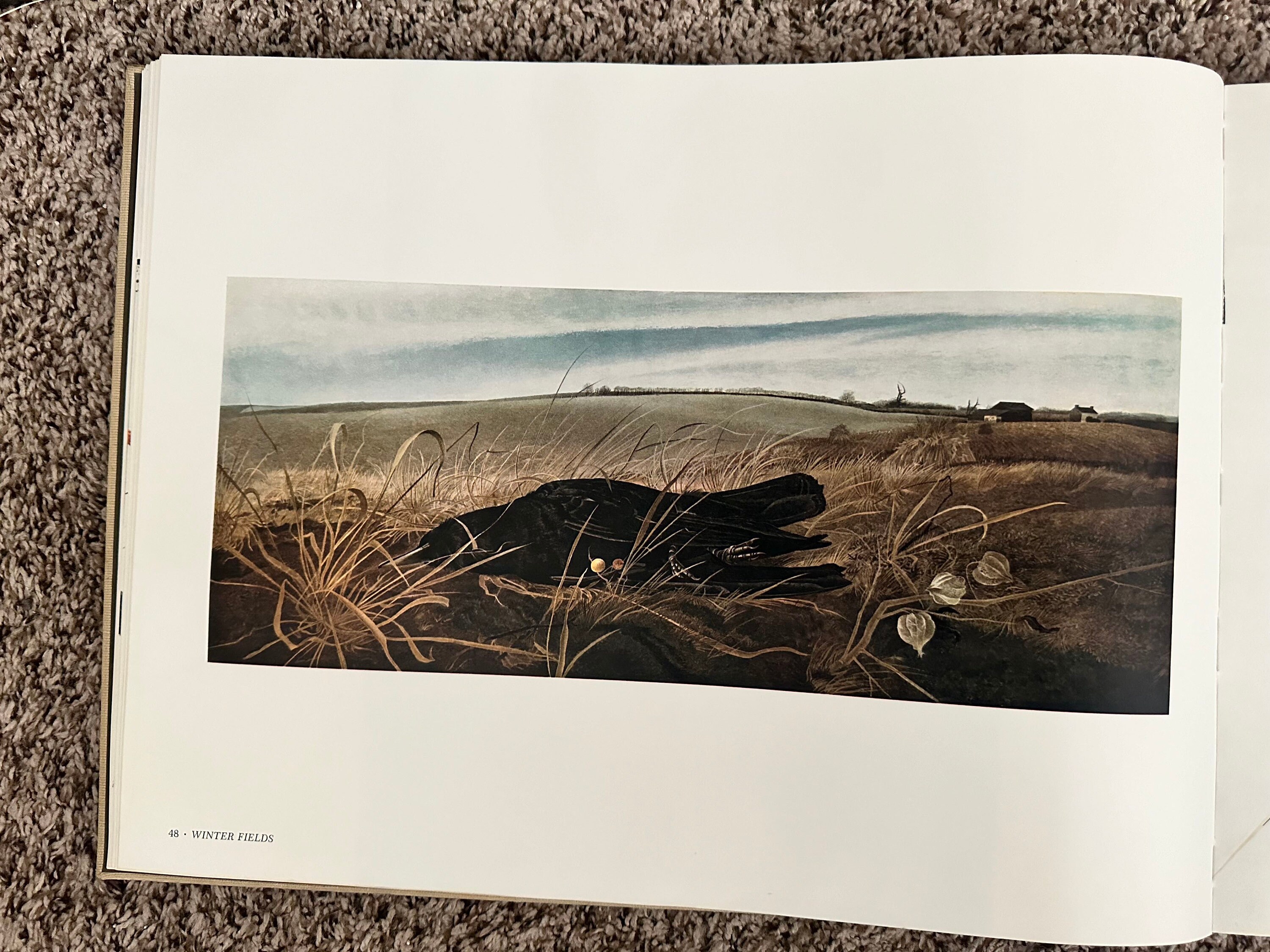 RARE VINTAGE Andrew Wyeth Art Book First Edition Second Printing 1968 ...