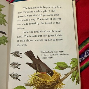 RARE VINTAGE Robins by Edwin Mason Follett Just Beginning Science Book ...
