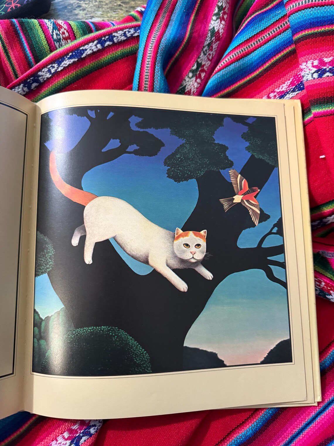RARE VINTAGE Comic and Curious Cats Martin Leman Angela Carter 1979 - Etsy