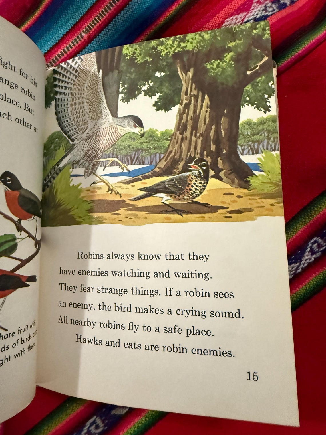 RARE VINTAGE Robins by Edwin Mason Follett Just Beginning Science Book ...