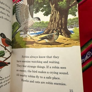 RARE VINTAGE Robins by Edwin Mason Follett Just Beginning Science Book ...