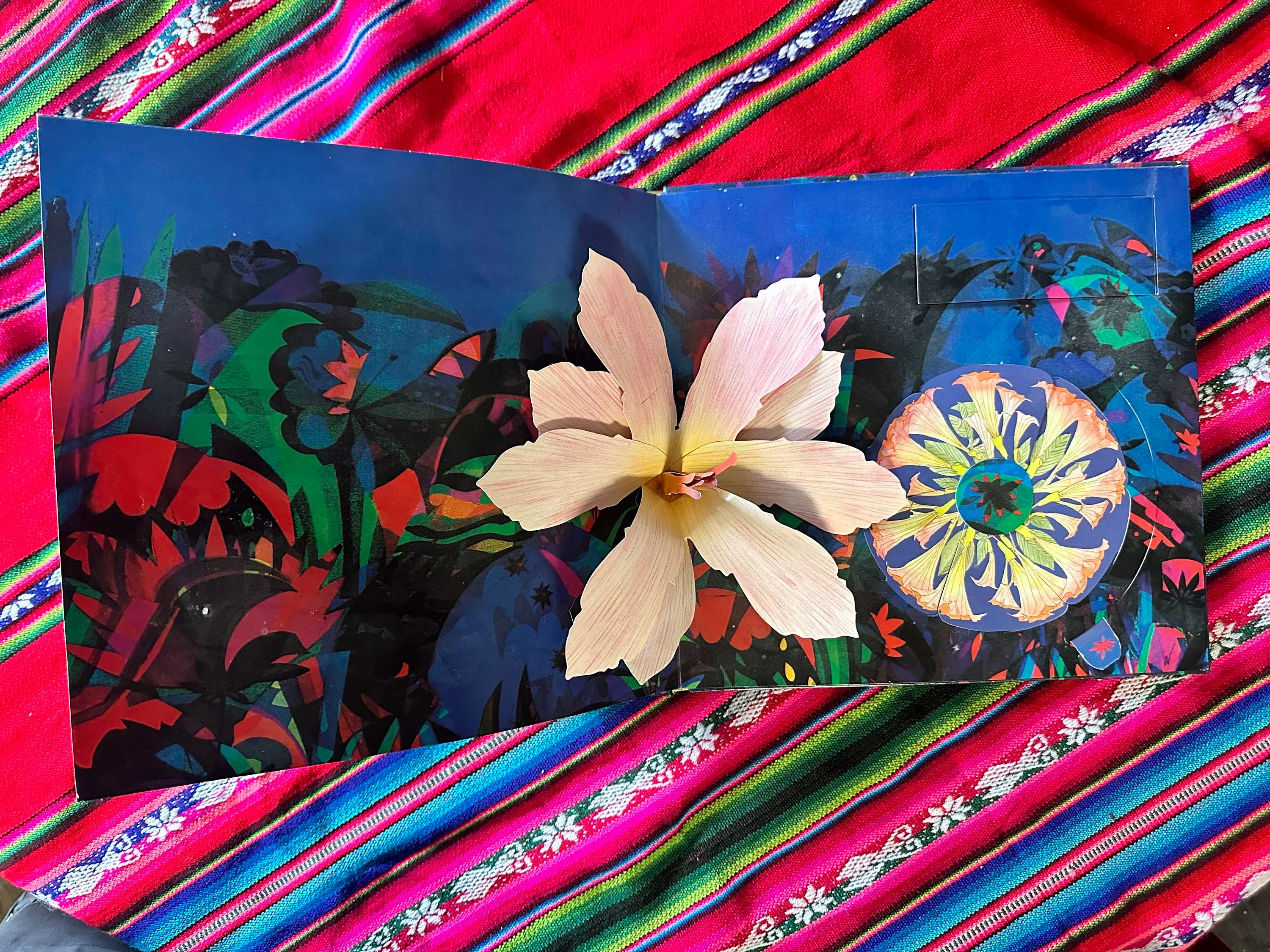 The Creation Brian Wildsmith A Pop-up Book 1996 VERY RARE - Etsy