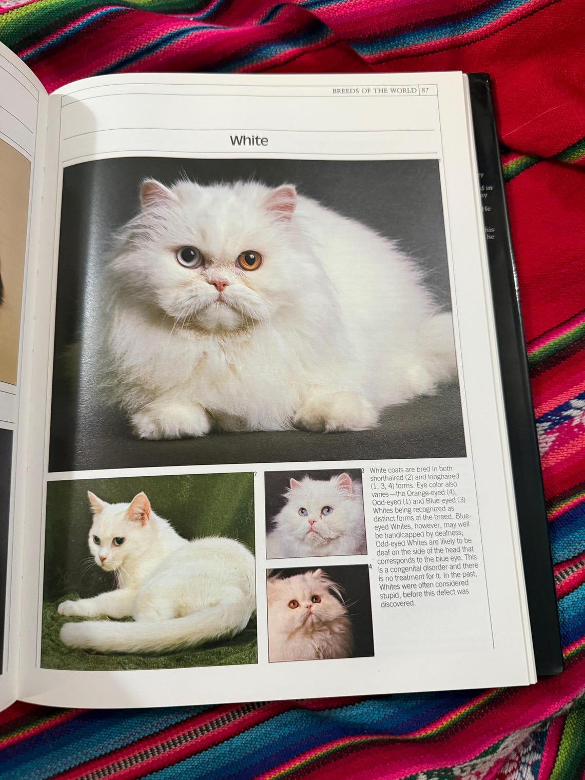 RARE VINTAGE the CAT the Most Complete, Illustrated Practical Guide to ...
