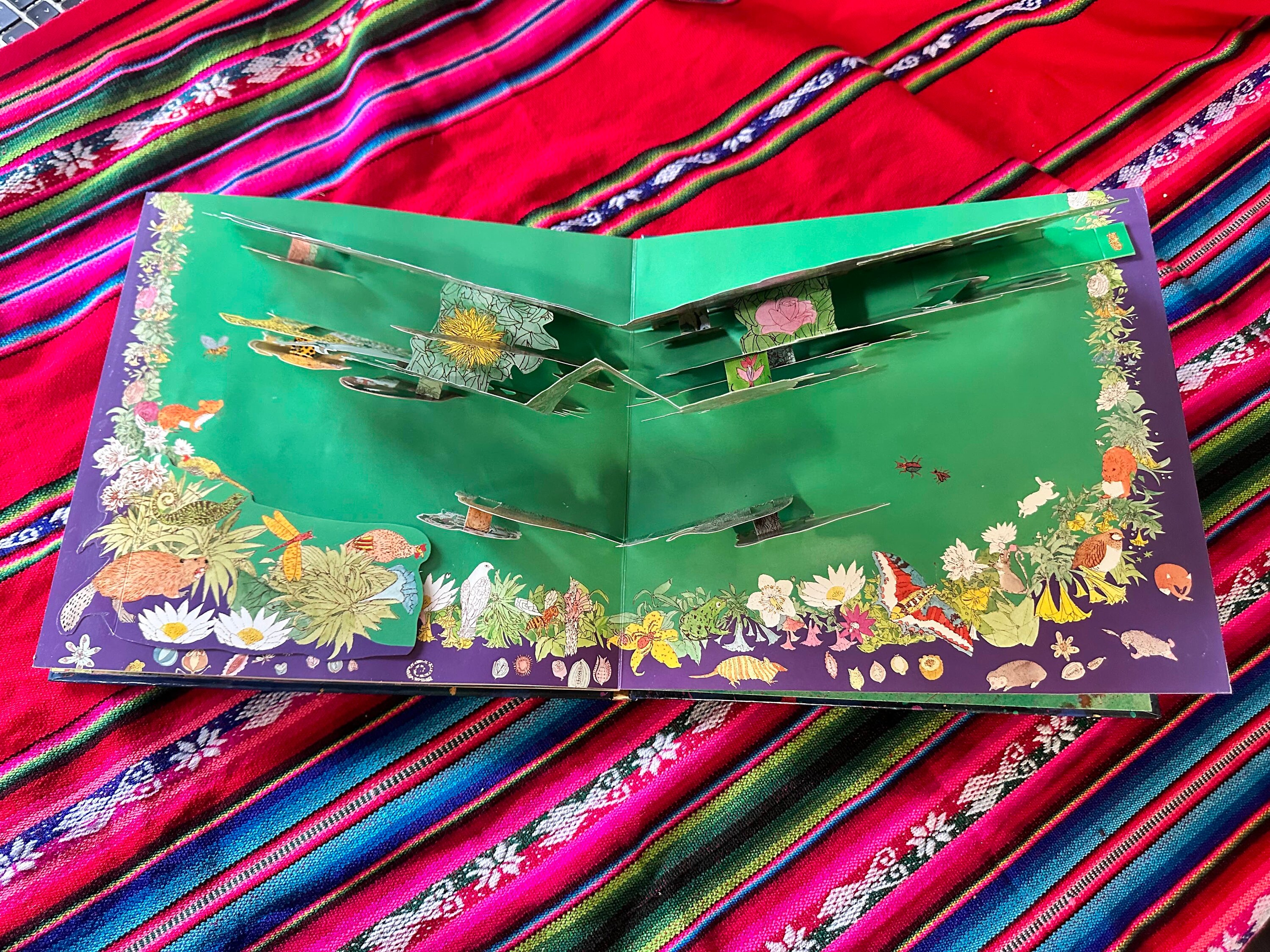 The Creation Brian Wildsmith A Pop-up Book 1996 VERY RARE - Etsy