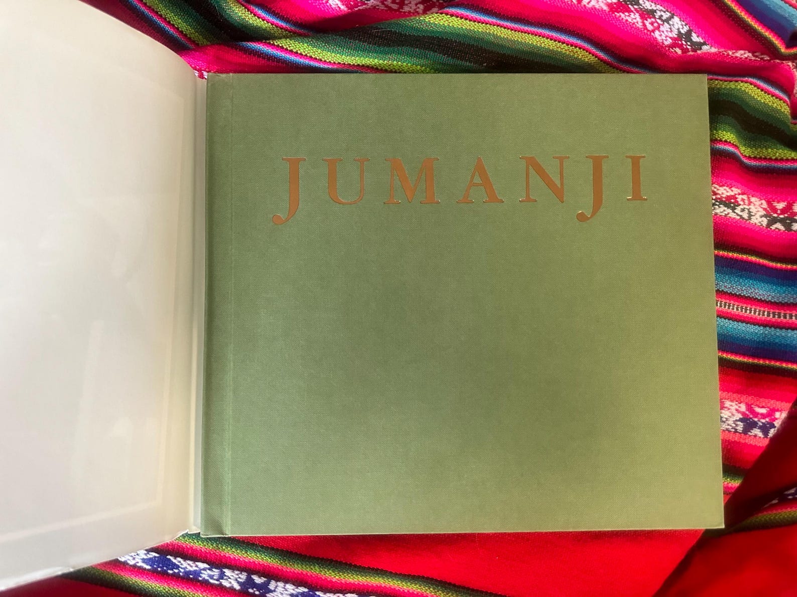 VERY RARE VINTAGE Jumanji - Chris Van Allsburg First Edition 19th ...