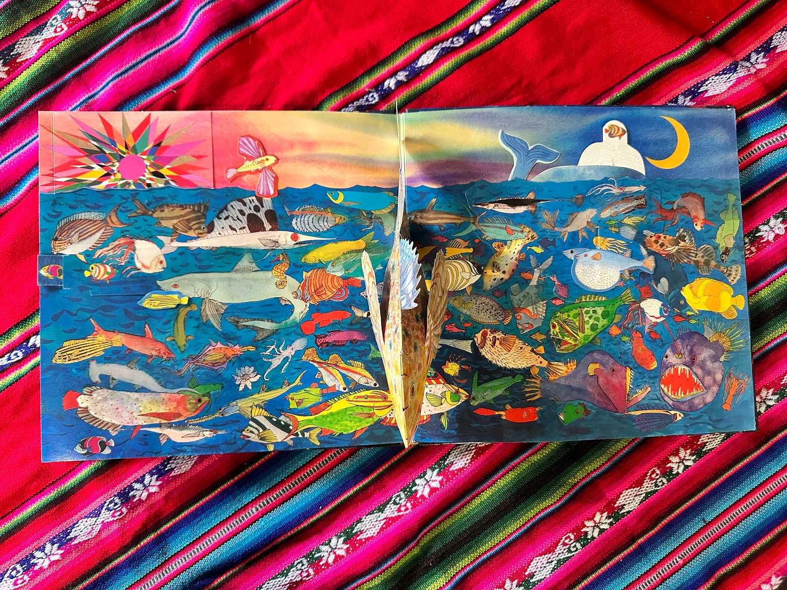 The Creation Brian Wildsmith A Pop-up Book 1996 VERY RARE - Etsy