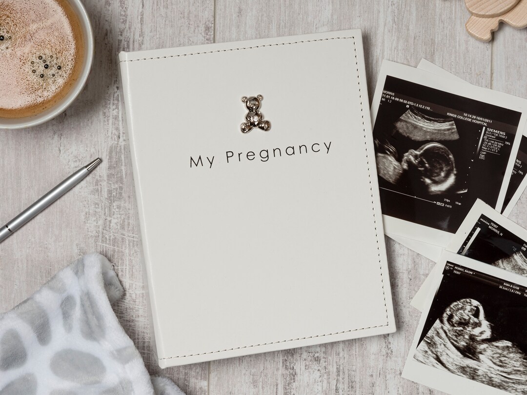 My Pregnancy Journal | the Ultimate Pregnancy Journal | 9 Months ...