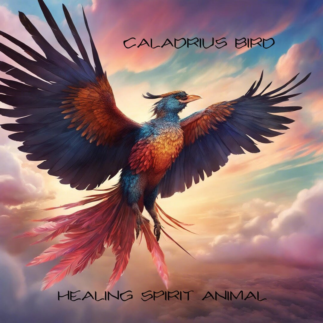 Caladrius Bird Healing Spirit Animal Amazing Power - Etsy