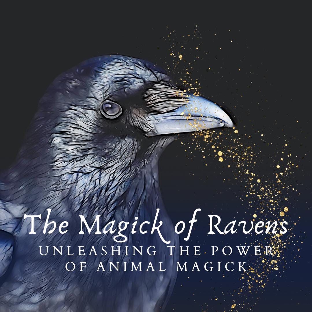 Raven Spirit Guide Unlocks Talent Shows You the Way to Success Your ...