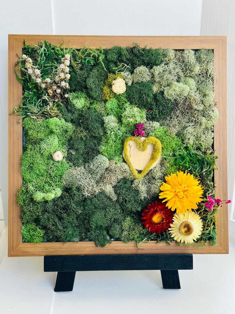 Preserved Moss Wall Art | Wall Decor | Unique Organic Moss Wall Art ...