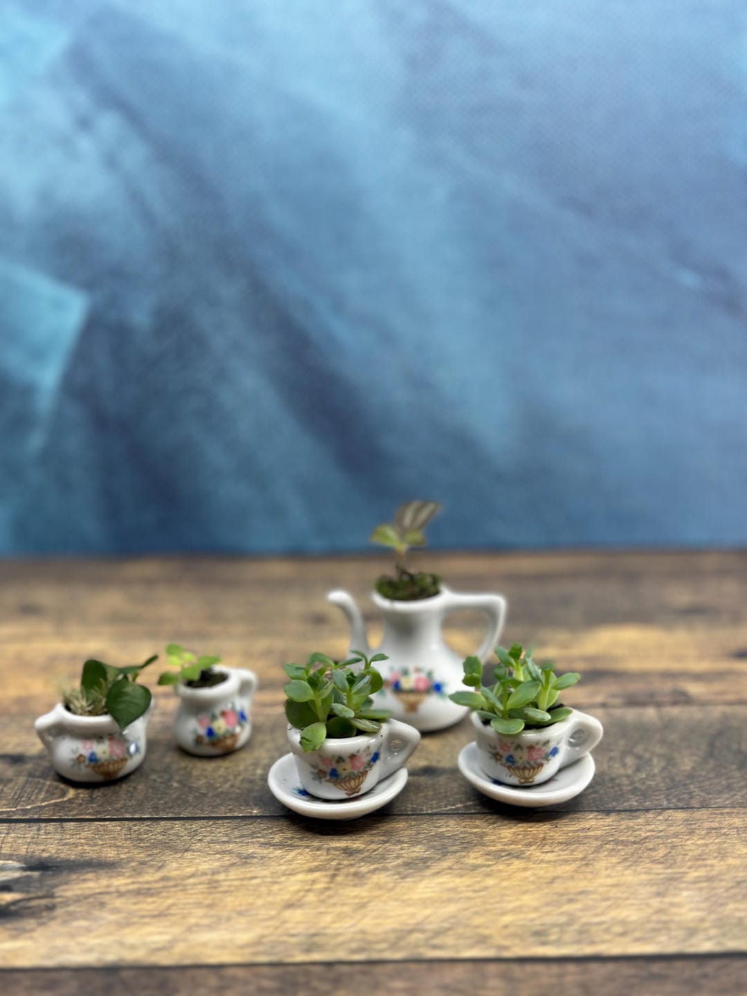Mini China Tea Set Unique Mini Plants Set Unique Table Top Decor Unique ...