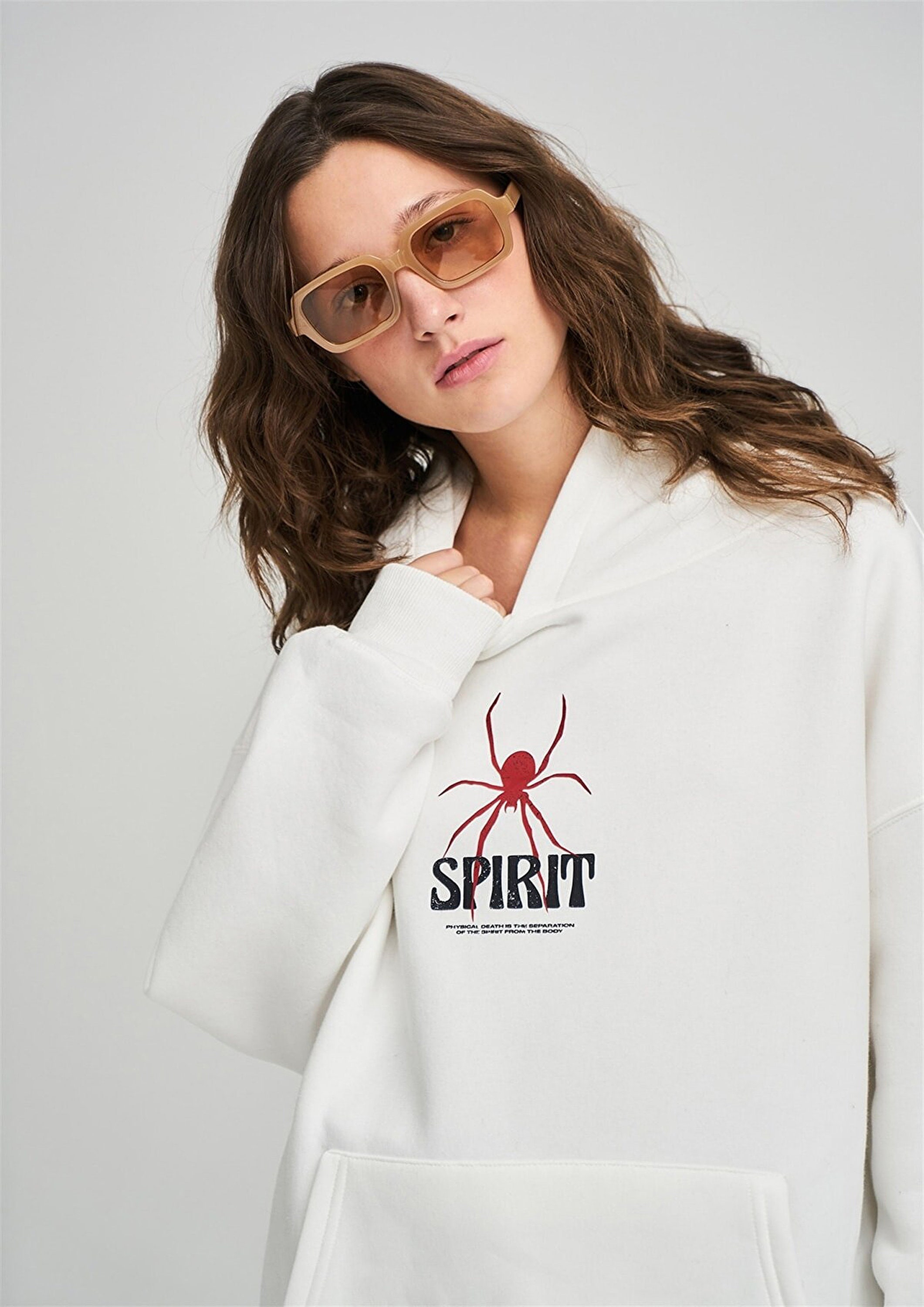 Spider Spirit Hoodie, Unisex Oversize Spider Sweatshirt, Spider Shirt ...