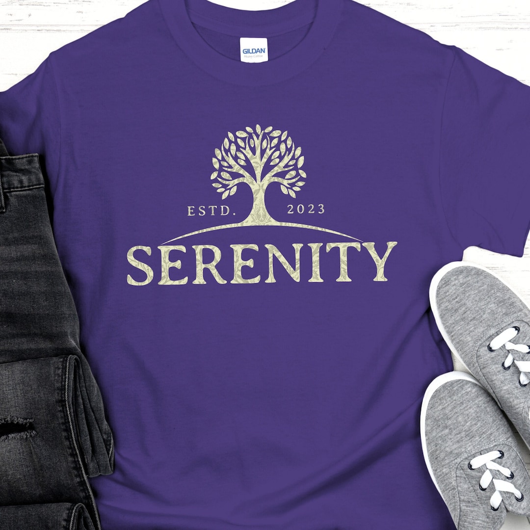 Addiction Recovery T-shirt Inspiring Sobriety Serenity Established - Etsy