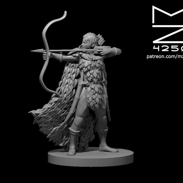 Human Ranger Beastmaster - Etsy