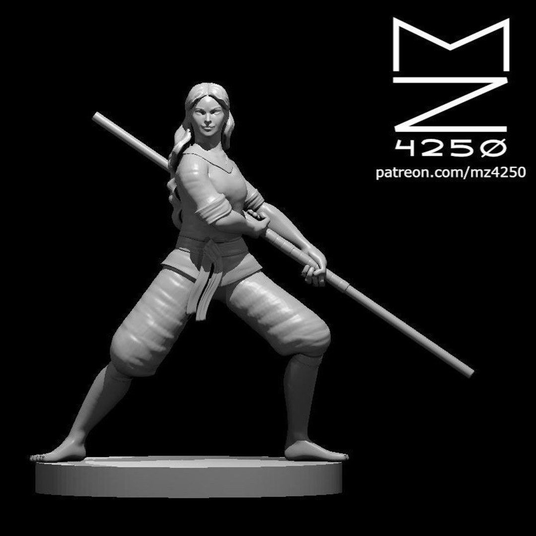 Human Female Monk Miniature - Mz4250 Fighter D&D Dungeons and Dragons ...