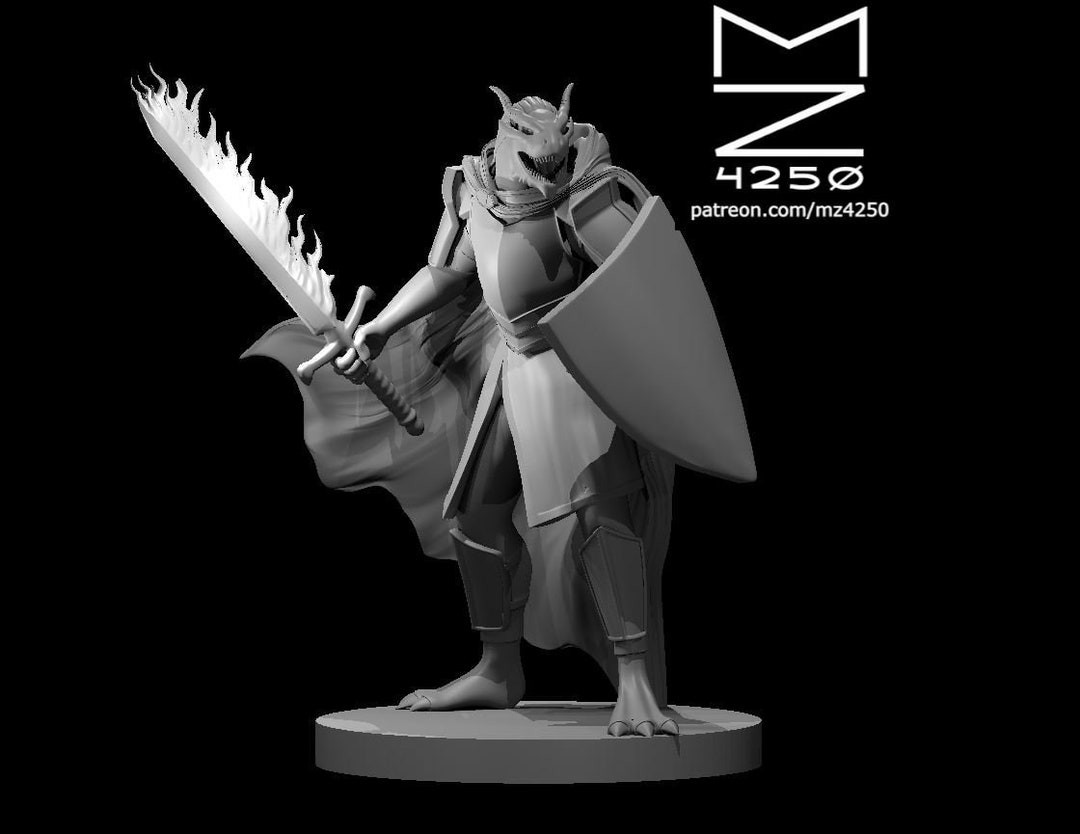 Dragonborn Paladin Miniature - Mz4250 - Hexblade Fighter Swordsman ...