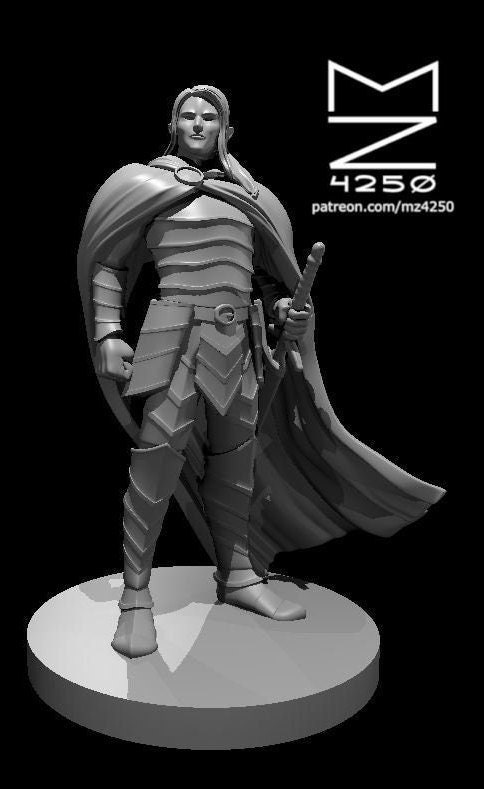 Male Elf Paladin Miniature - Mz4250 - Fighter Swordsman Knight D&D ...