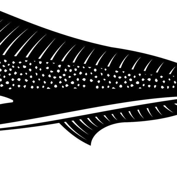 Mahi Mahi Dxf - Etsy