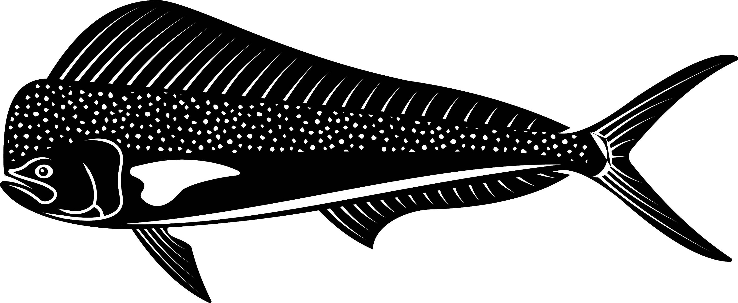 Mahi Saltwater Fish DXF File Plasma Laser Cutting Artwork - Etsy