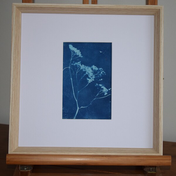 Cyanotype - Etsy UK
