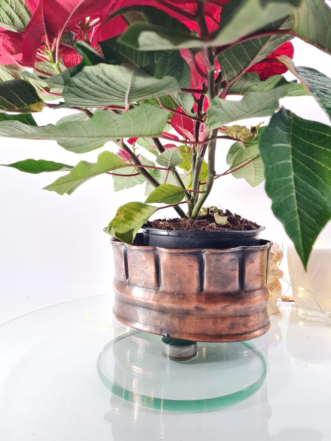 Oval Copper Planter Pot, Vintage Rustic Cachepot Indoor With Embossed ...