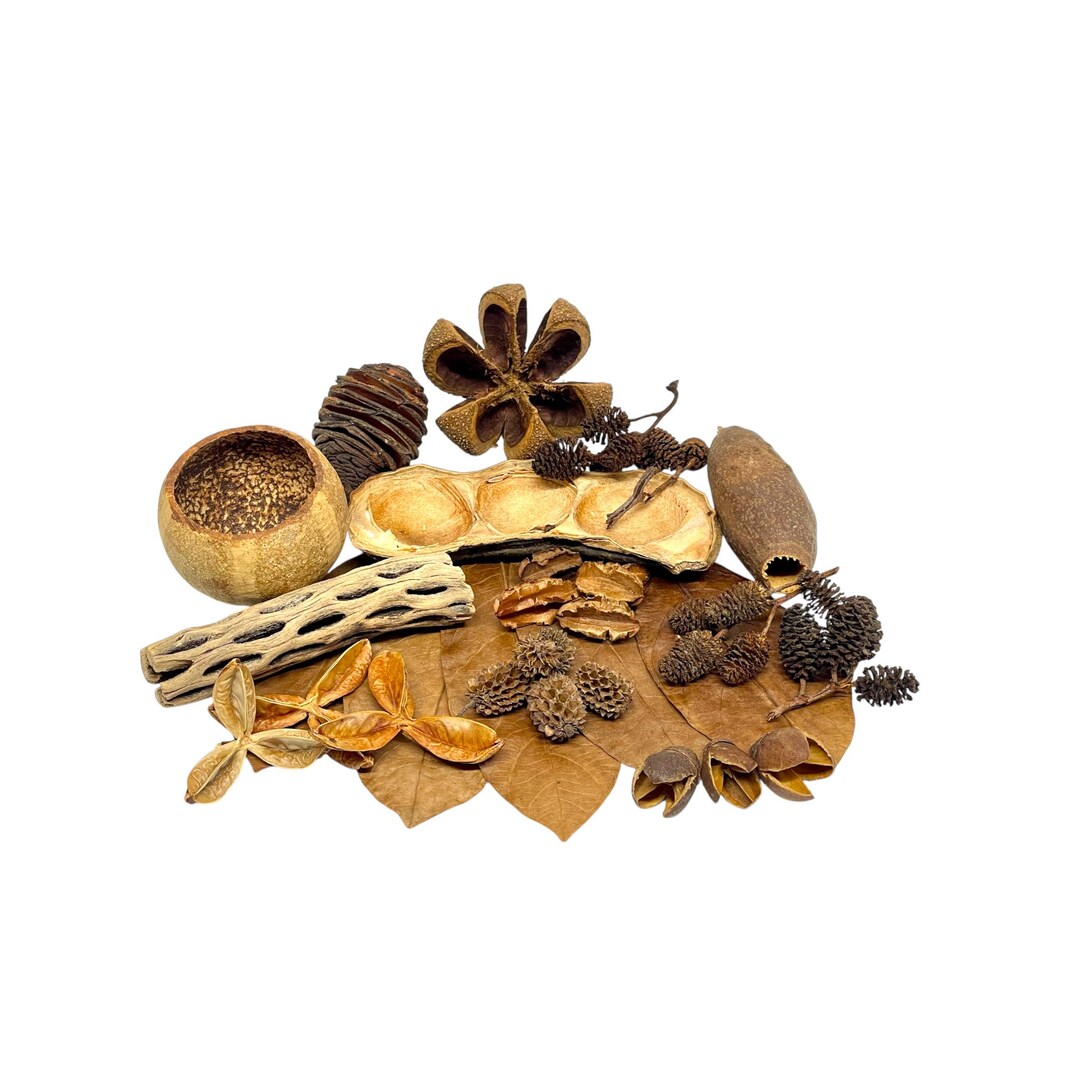 Botanical Gems Variety Pack - Aquascape / Bioactive / Botanicals ...