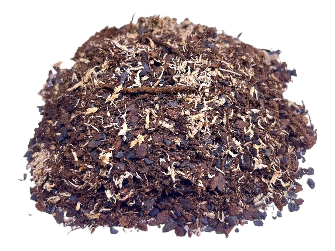 Premium ABG Substrate Mix Vivarium Substrate / Terrariums / Bioactive ...