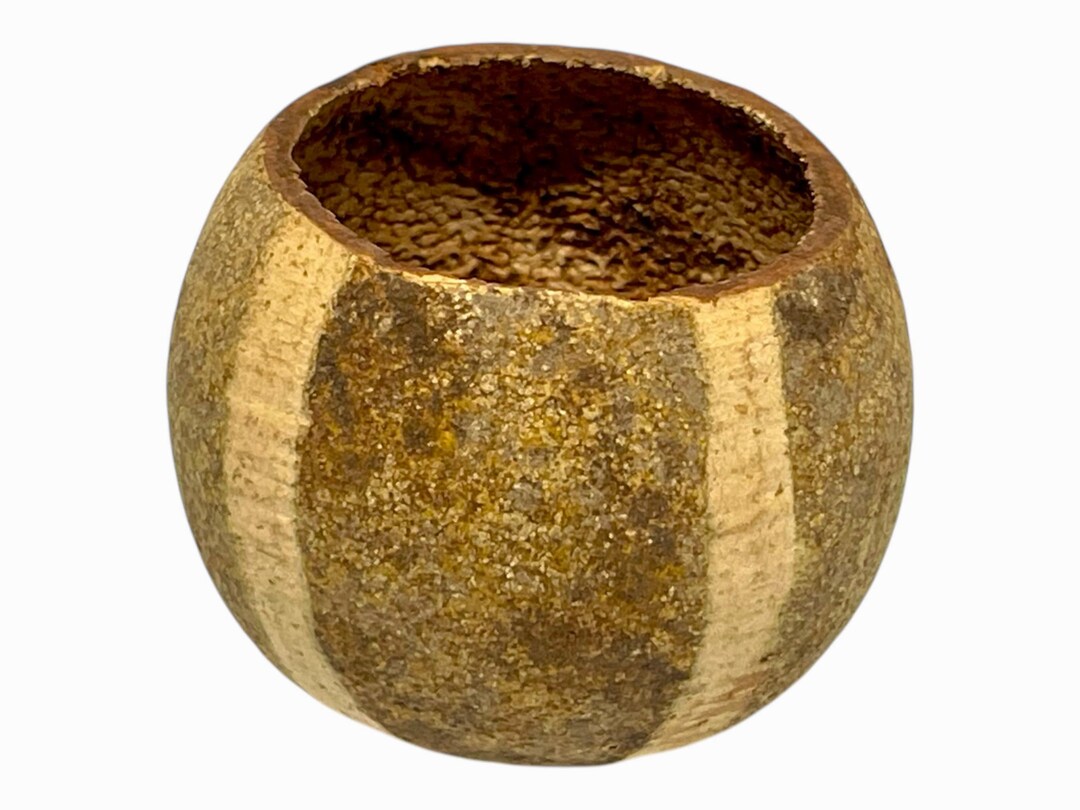 Banded Bell Cups - Bael Pod / Botanicals / Aquarium Decor /terrariums ...