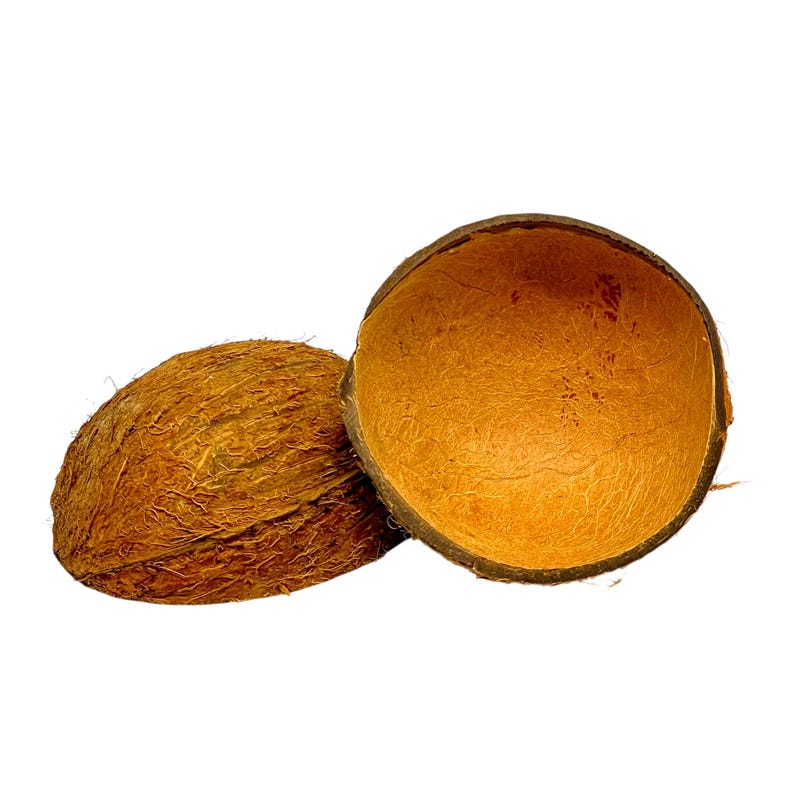 Coconut Shell Tool - Etsy
