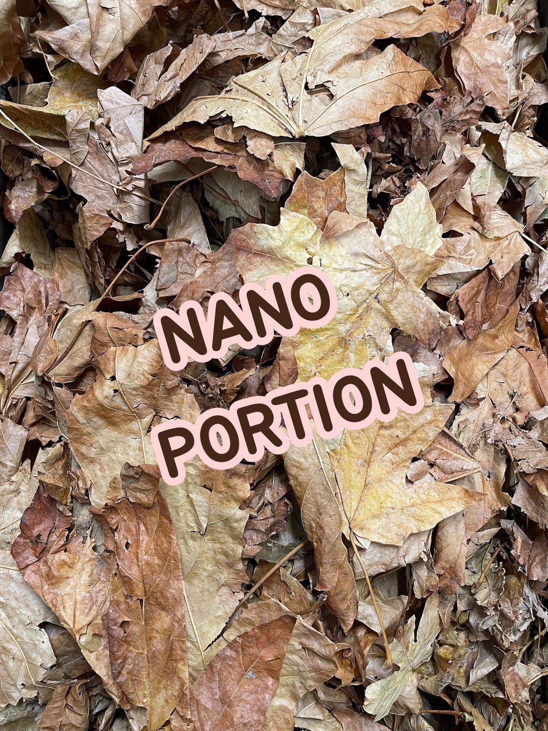 Sugar Maple Leaf Litter (quart Bag) - Isopods / Bioactive / Botanicals ...