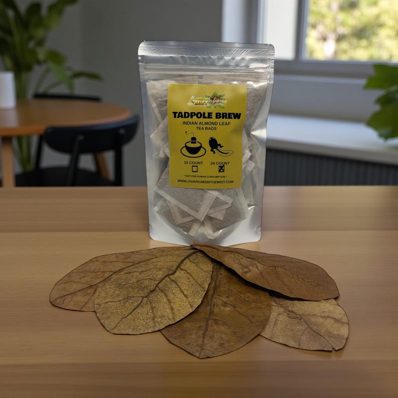Tadpole Starter Kit - Indiand Almond Leaves & Tadpole Brew Tea Bags - Etsy