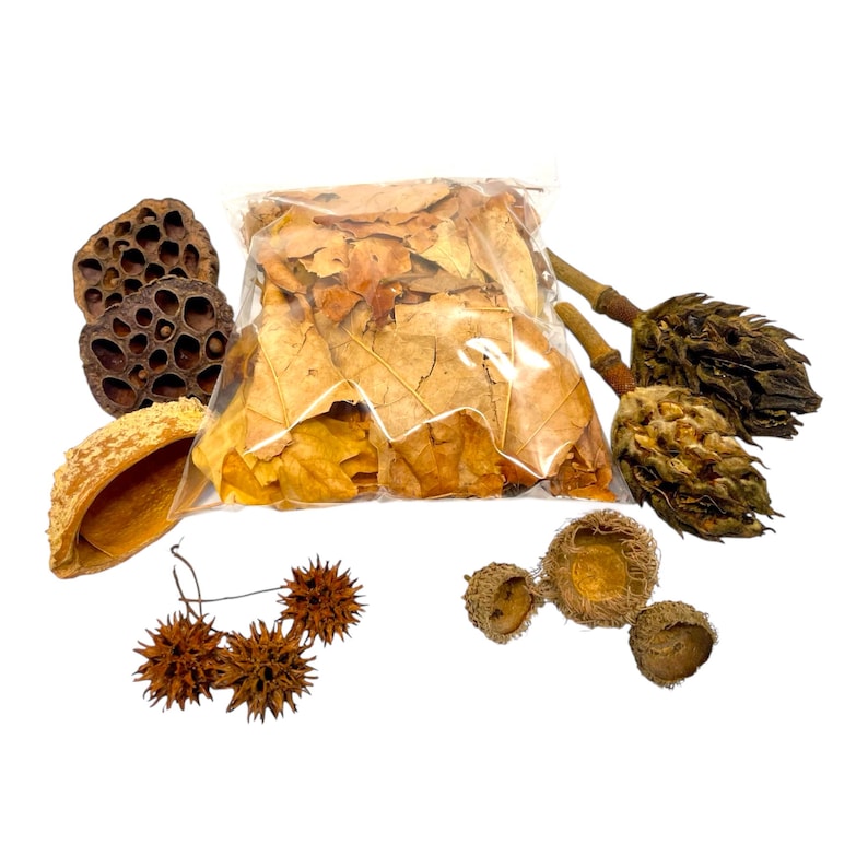 Isopod Essentials Variety Pack - Isopods / Botanicals / Leaf Litter ...