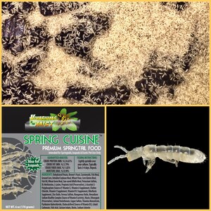 Spring Cuisine - Premium Springtail Food / Springtails / Isopods ...