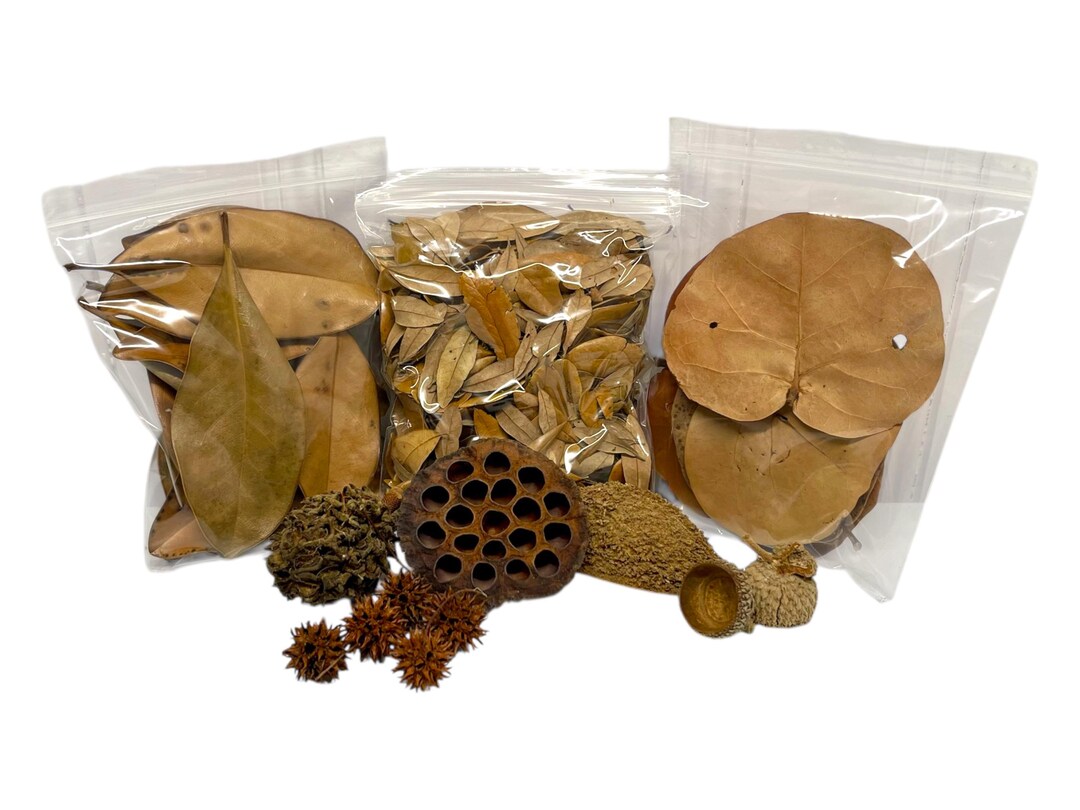 Deluxe Isopod Starter Kit - Isopod / Botanicals / Bioactive ...