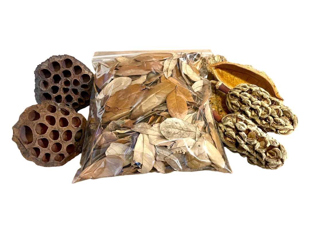 Isopod Starter Kit Variety Pack - Isopod Food / Bioactive / Botanicals ...