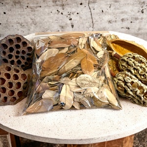 Isopod Starter Kit Variety Pack - Isopod Food / Bioactive / Botanicals ...