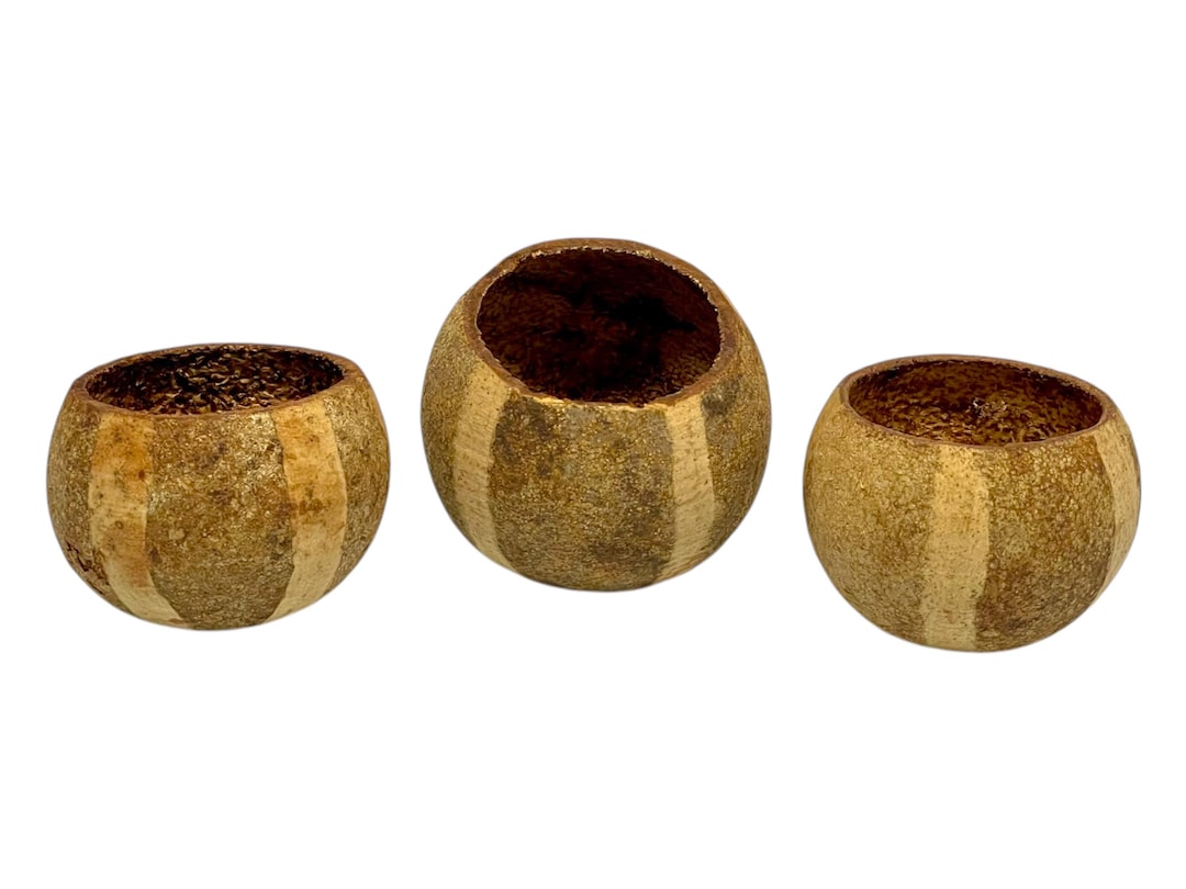 Banded Bell Cups (3 Pack) - Bael Pod / Botanicals / Betta / Bioactive ...