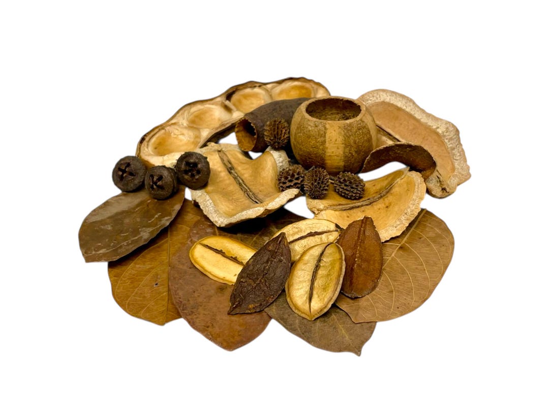 Botanical Biosphere Variety Pack - Bioactive / Aquarium Decor ...