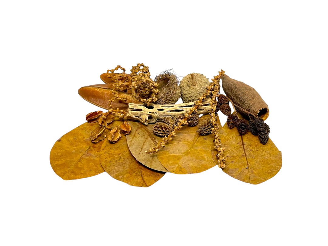 Aquatic Shrimp Botanical Starter Pack: Aquarium Decor, 35 Pieces - Etsy