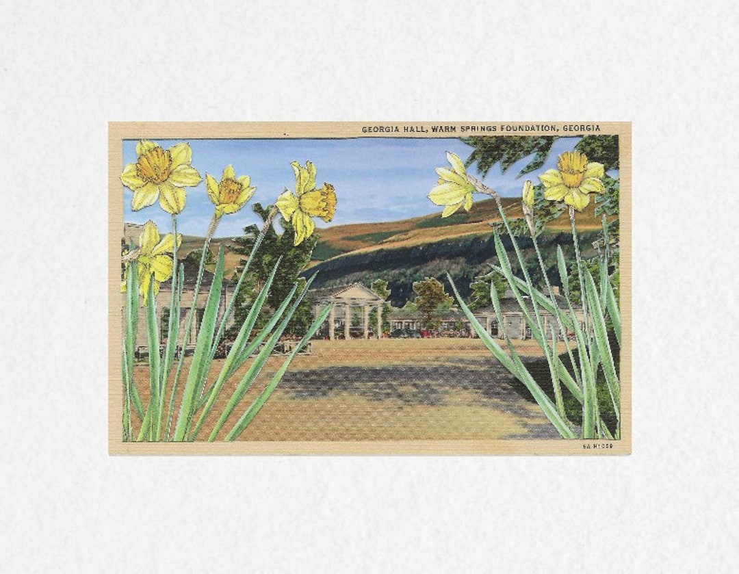 Altered Art Collage Postcard yellow Daffodils One of a Kind, Original ...