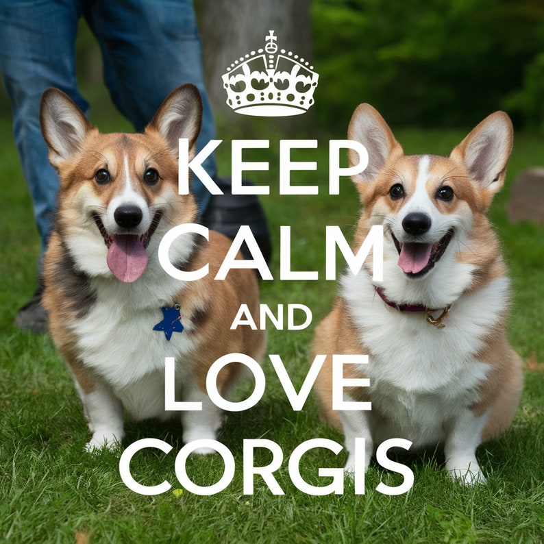 I Want to Hug All the Corgis - Etsy