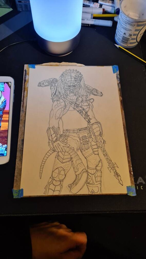 Wolf Predator Drawings
