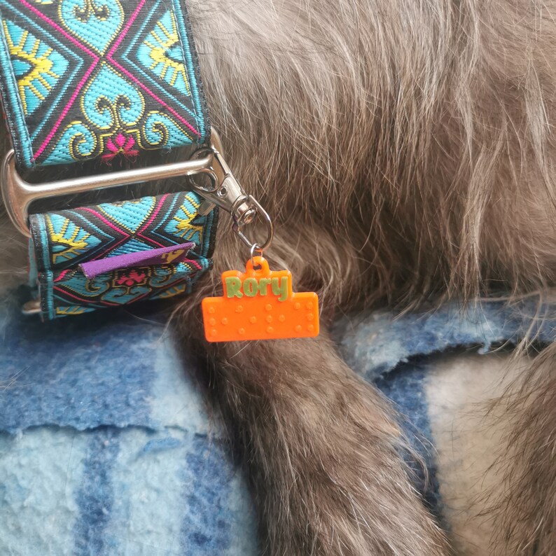 Braille Pet Tag, Custom Dog Tag - 3D Printed - Etsy