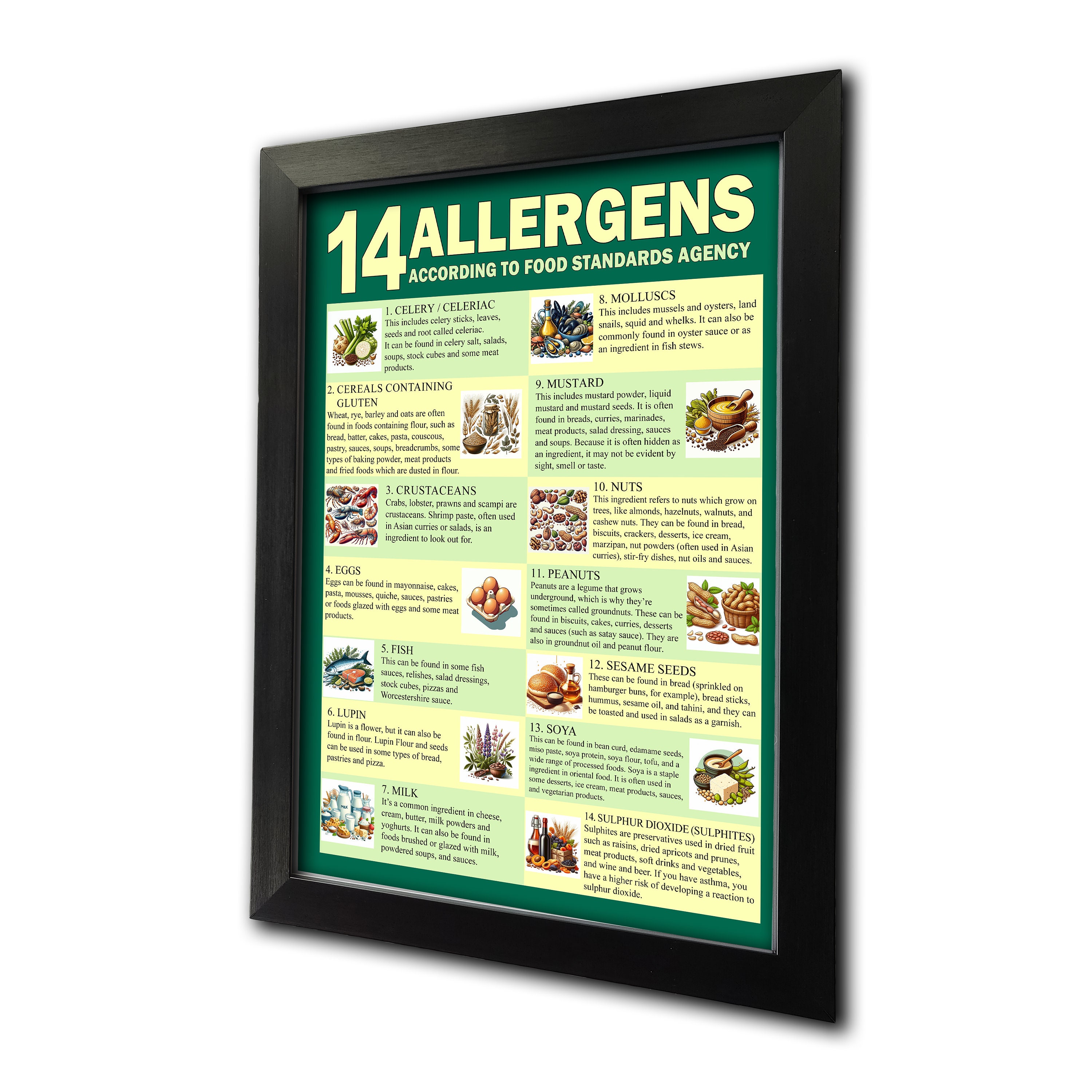 14 Allergens Food Standards Agency Digital Download Illustrated Sign ...