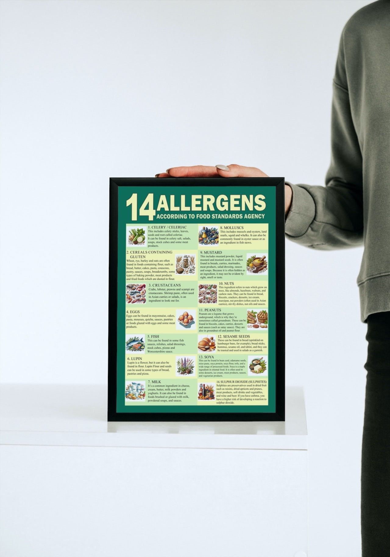 14 Allergens Food Standards Agency Digital Download Illustrated Sign ...