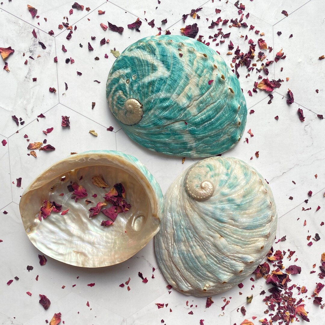 Small Abalone Shell, Housewarming Gift Tools ,white Sage Smudge Holder ...