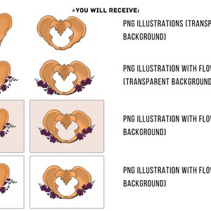 Pelvis Art Posters, Set of 2 Floral Pelvis Anatomical Digital Print ...