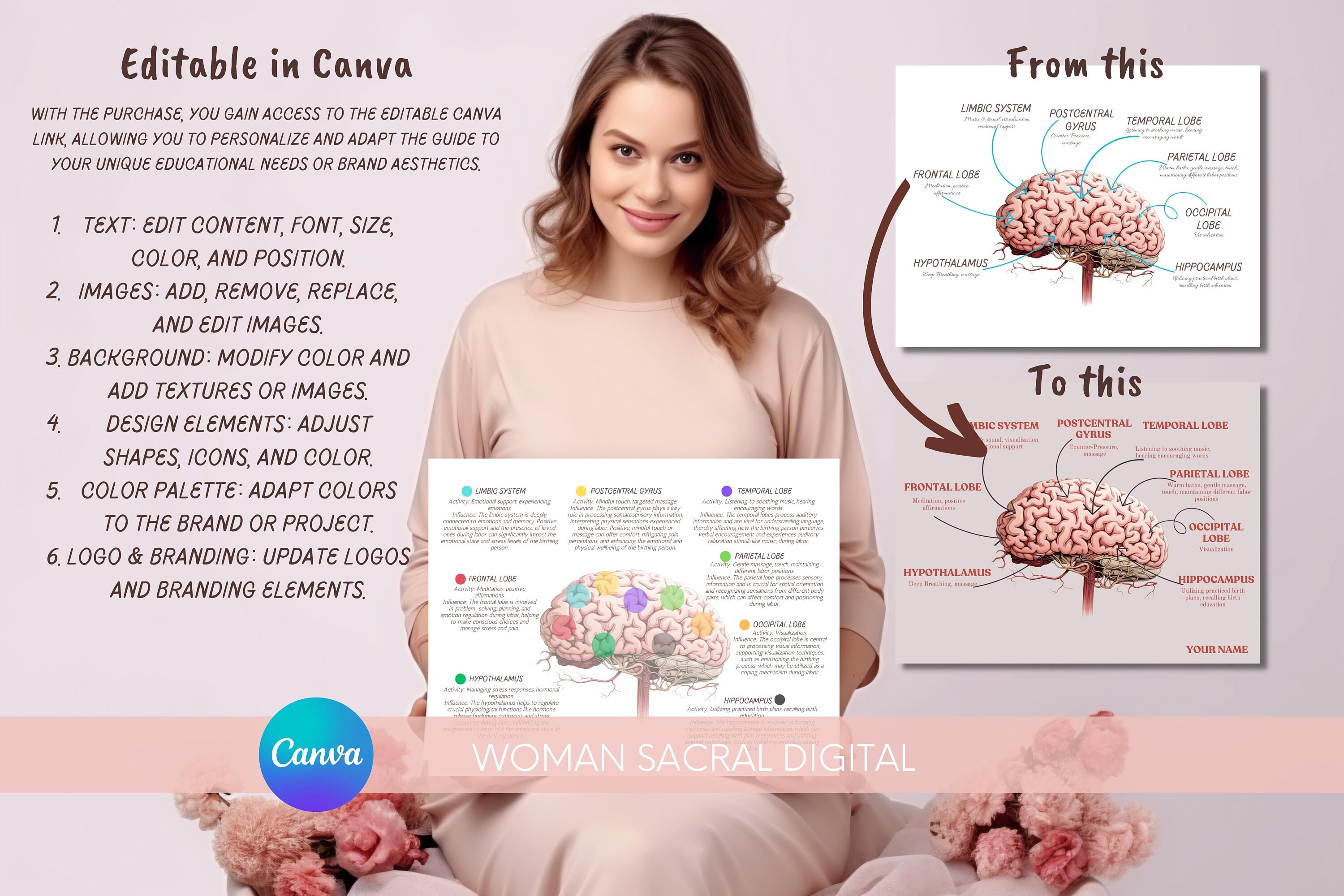 Birth Brain & Hormone Digital Guide: A Comprehensive Tool for Doulas ...