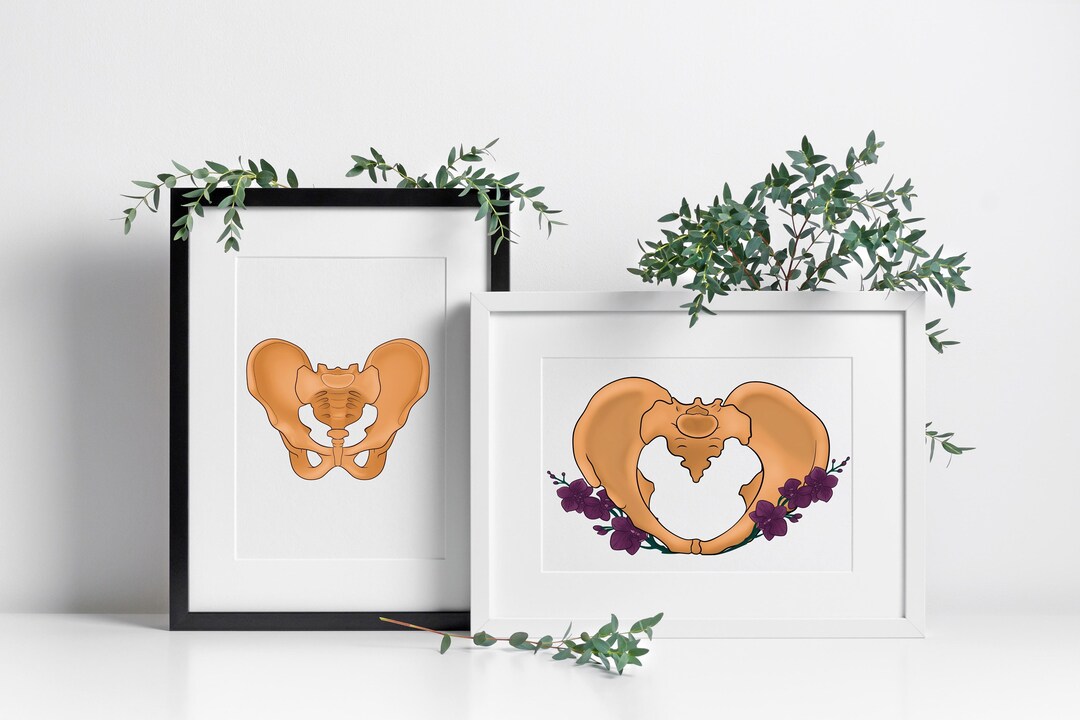 Pelvis Art Posters, Set of 2 Floral Pelvis Anatomical Digital Print ...